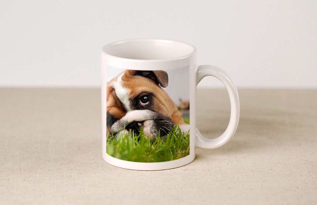 Mokken bedrukken » Mokken maken met foto’s » Begin nu! | albelli.be